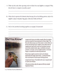 Printable Workbooks - The Fishing Chronicles – Lane Walker Books